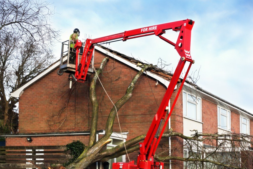 Cherry Picker Buying Guide | Michbelles