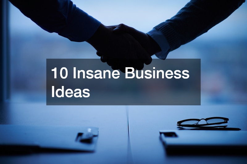 10 Insane Business Ideas - Michbelles