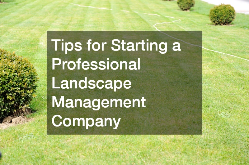 Tips for Starting a Professional Landscape Management Company - Michbelles